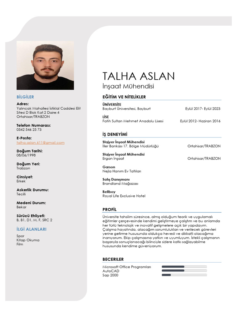 Talha ASLAN CV | PDF