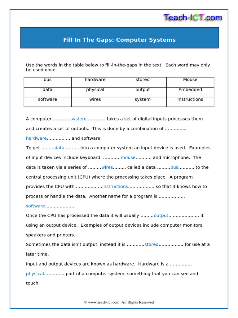 Computer Systems Fill in The Gaps (Completed) | PDF