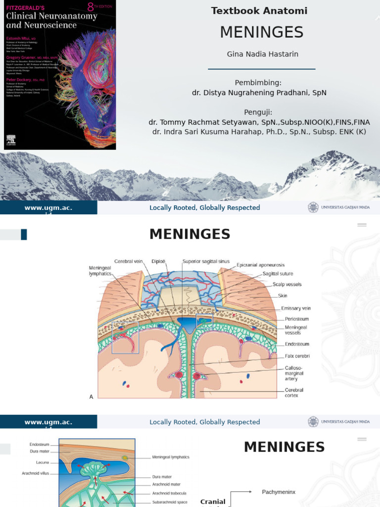 Meninges NAD | PDF
