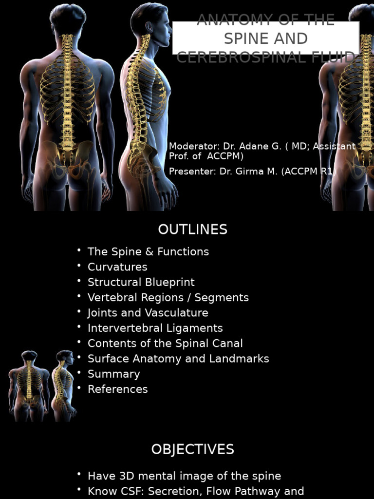 GIRMA Anatomy of The Spine and CSF | PDF | Vertebra | Vertebral Column