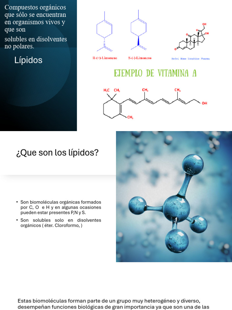 Lípidos: Clasificación y Funciones Biológicas | PDF | Lípido | Ácido graso