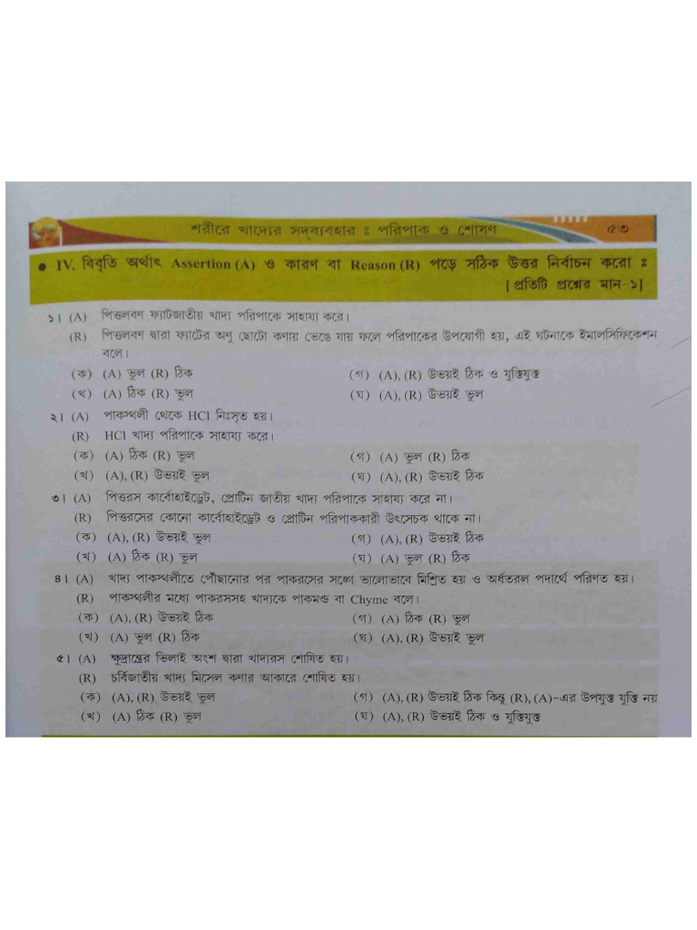 Practice U2 c2 | PDF