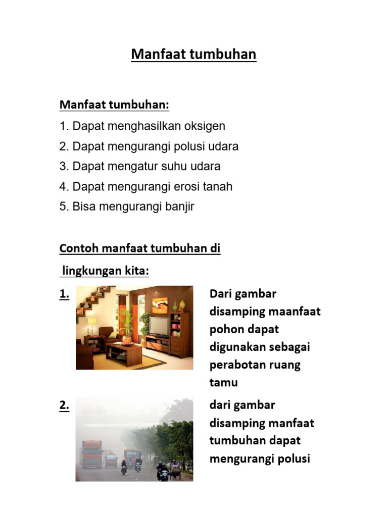 Tugas Pramuka Radit | PDF