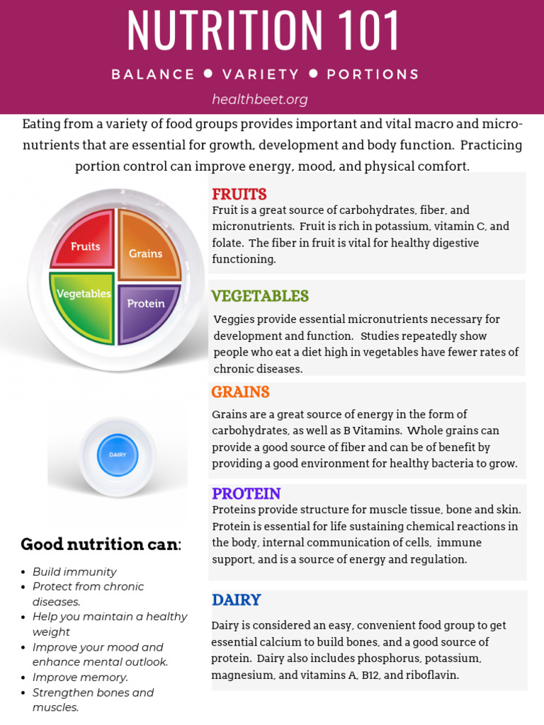 Nutrition 101 Handout | PDF