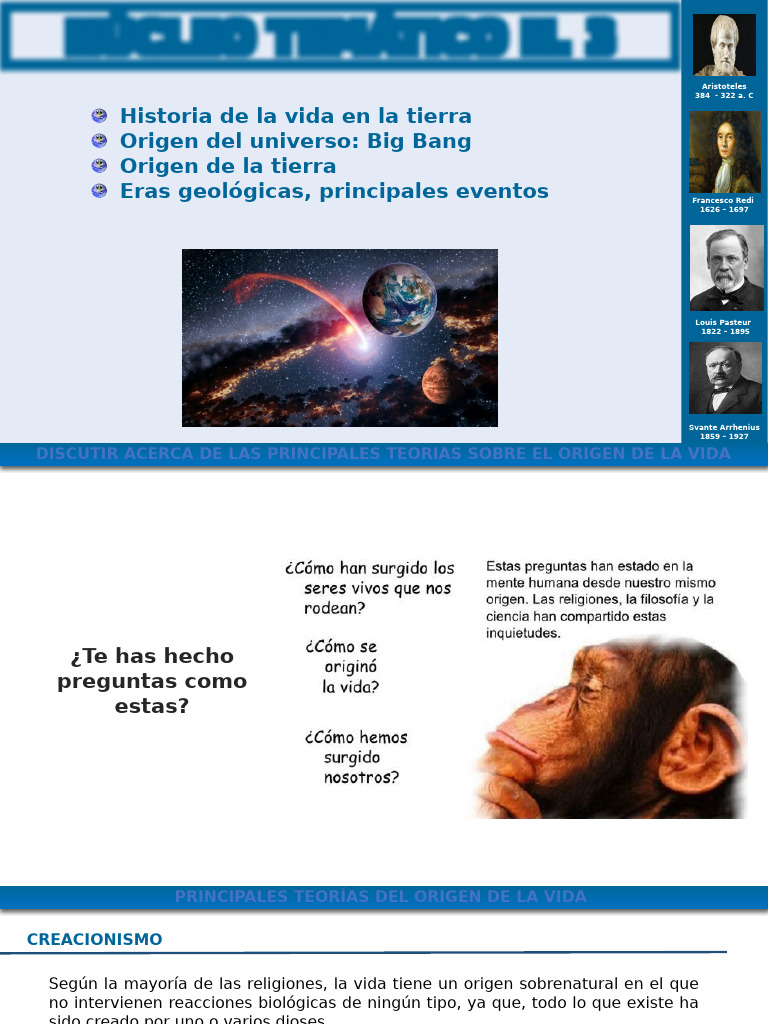 Tema 3a | PDF | Biología Celular) | Eucariotas