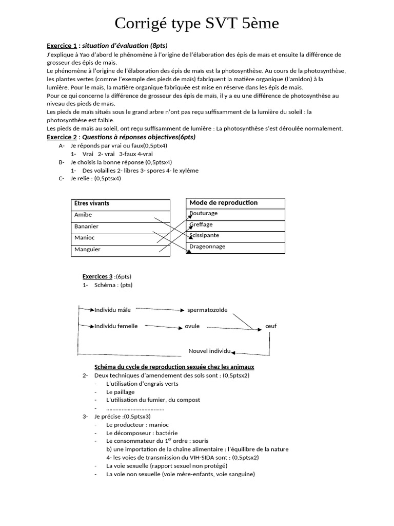 Corrigé d'exercices SVT 5ème | PDF | Maïs | Photosynthèse