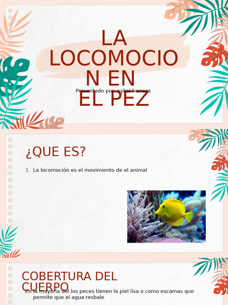 Nykol Presentacion | PDF