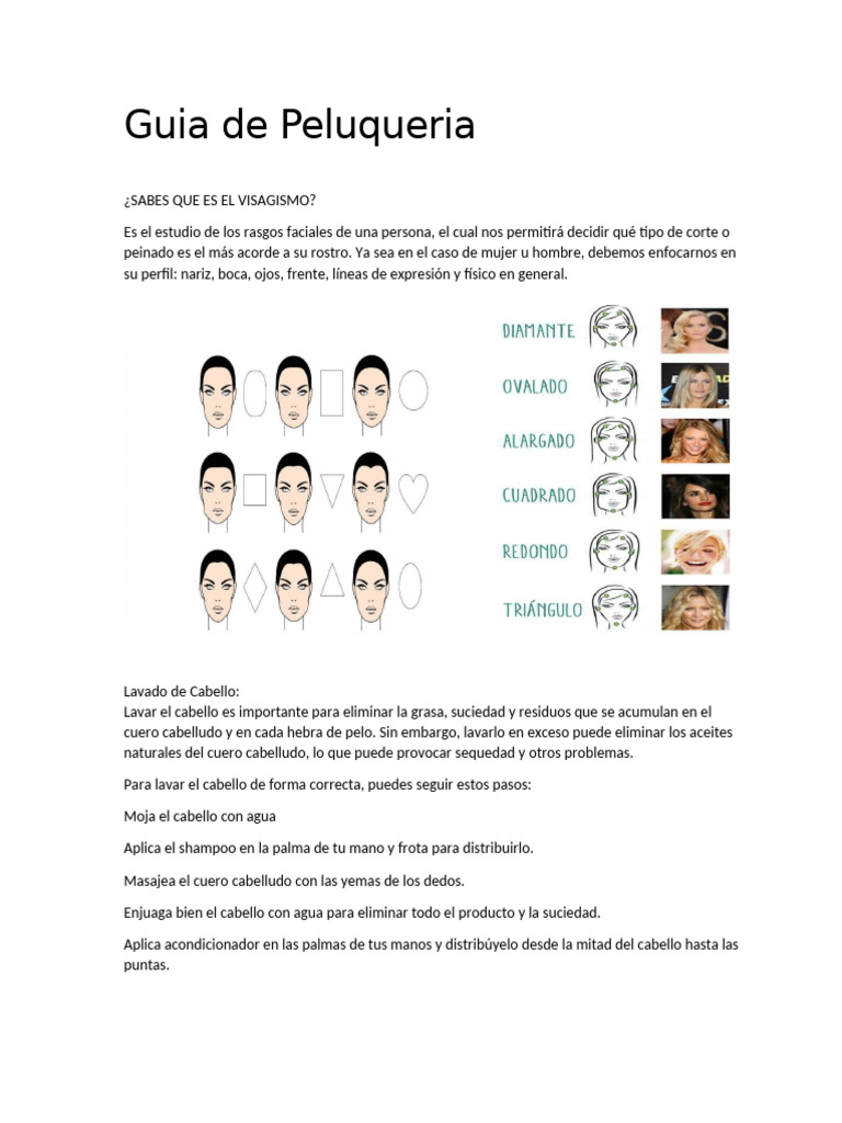 Guia de Peluqueria | PDF | Pelo | Agua