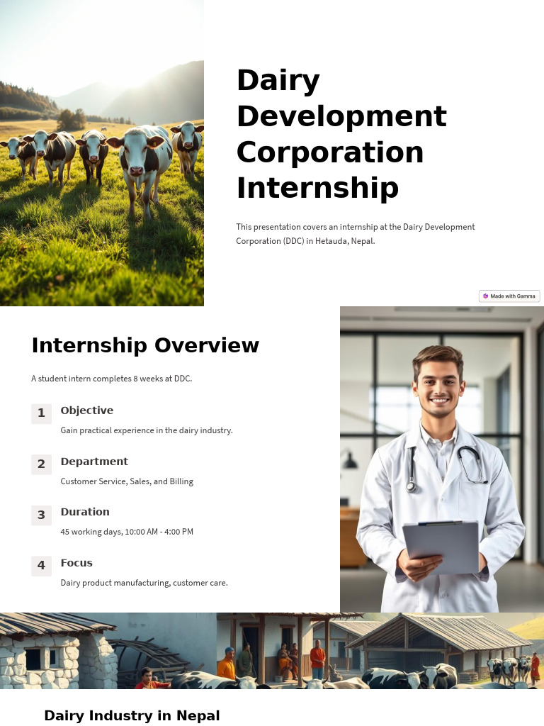 Dairy Development Corporation Internship | PDF | Dairy