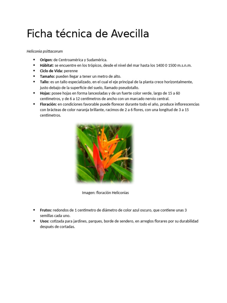 Ficha Técnica de Heliconia Avecilla | PDF | Flores | Hoja