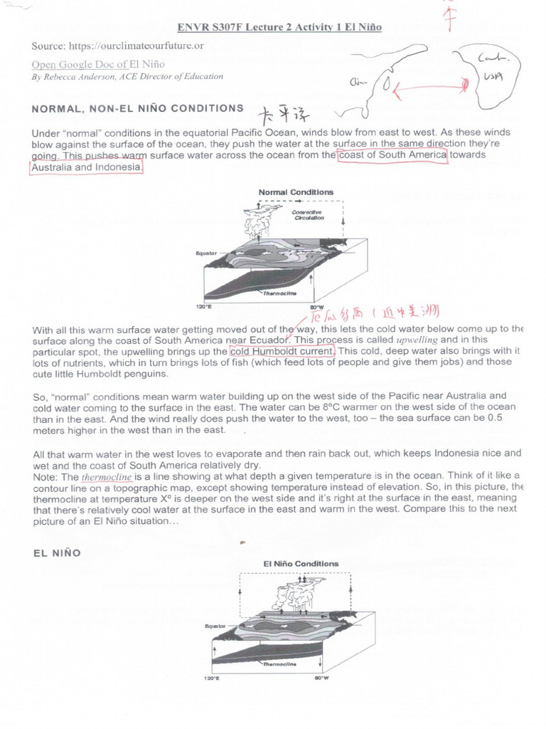 Lecture Exercise | PDF
