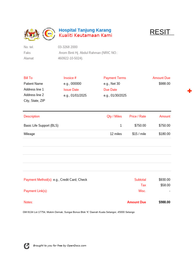 Ambulance Invoice | PDF