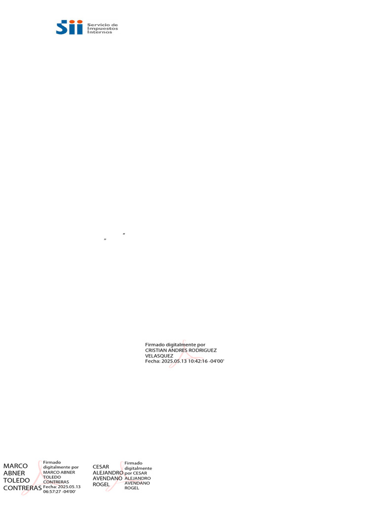 Aurizacion vehiculo SII | PDF