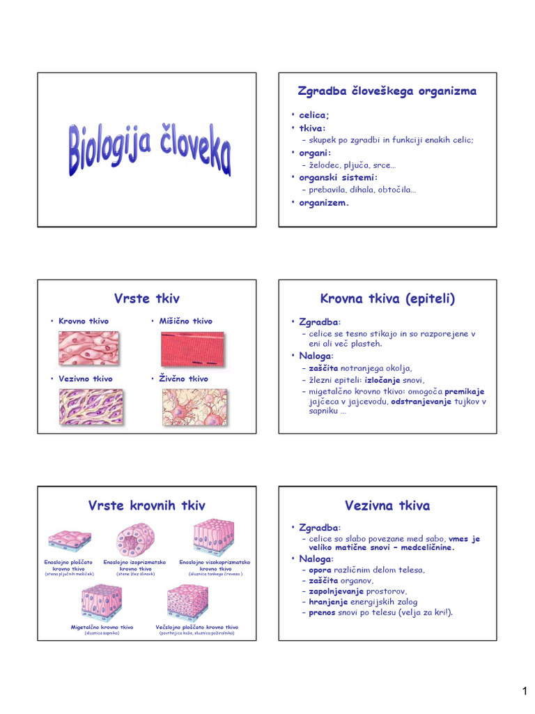 1 - Organski Sistemi | PDF