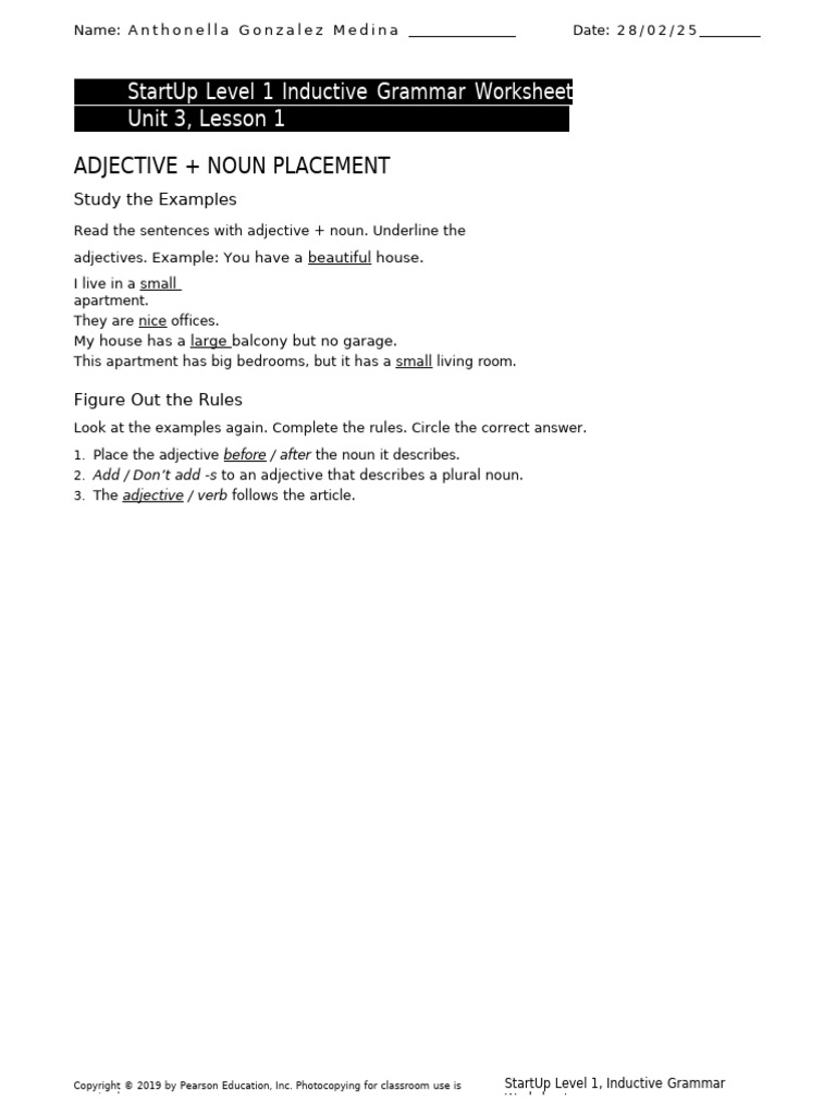 Unit 3 Inductive Grammar Activity | PDF | Plural | Adjective