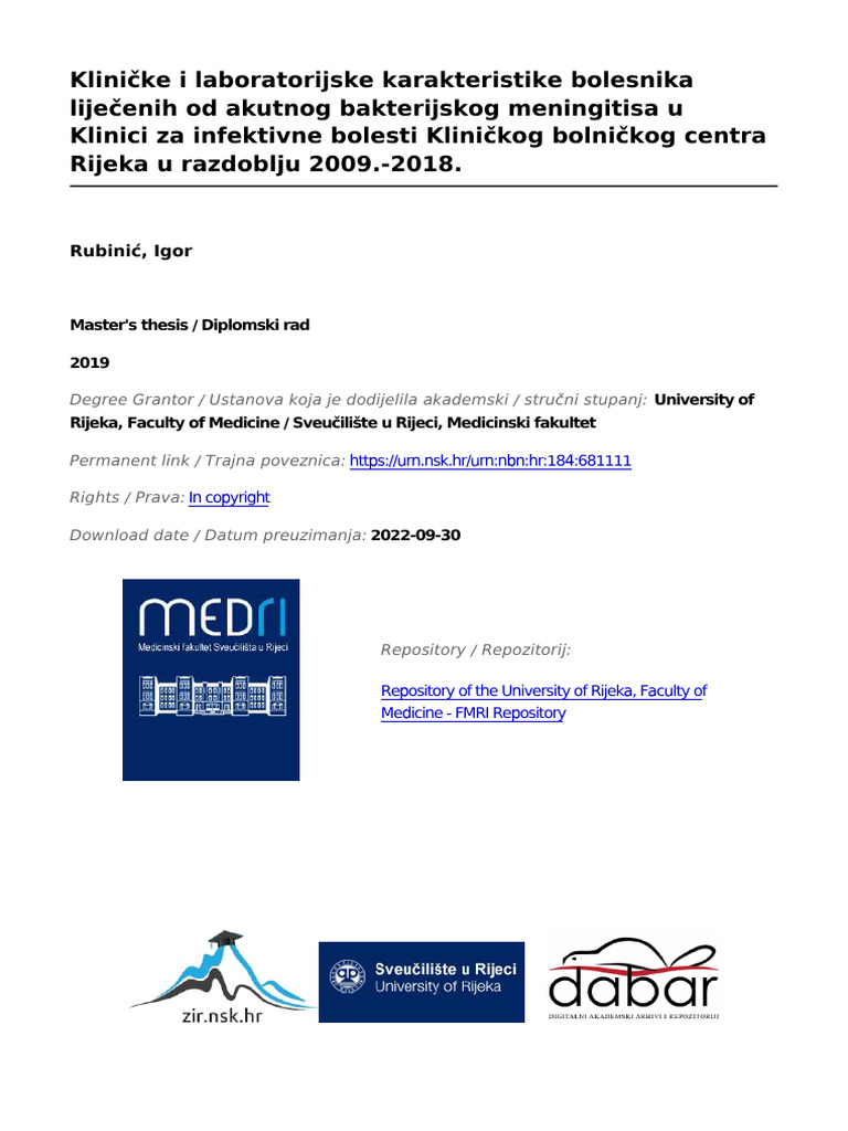 Diplomski Rad Igor Rubinic | PDF