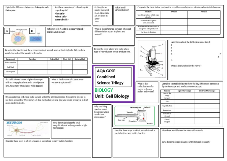 AQA GCSE Combined Science Trilogy Cell Biology Revision Sheet | PDF ...