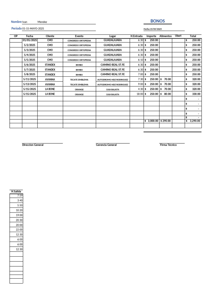 Formato de Bonos Flaco | PDF