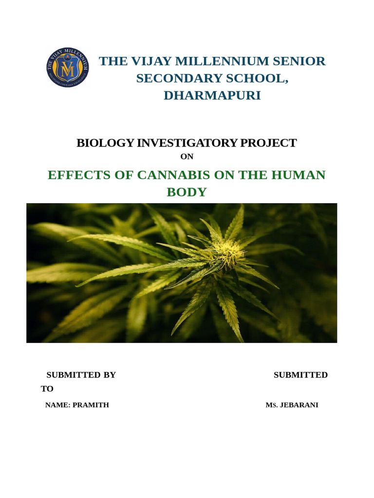 Effects of Cannabis on Human Health | PDF