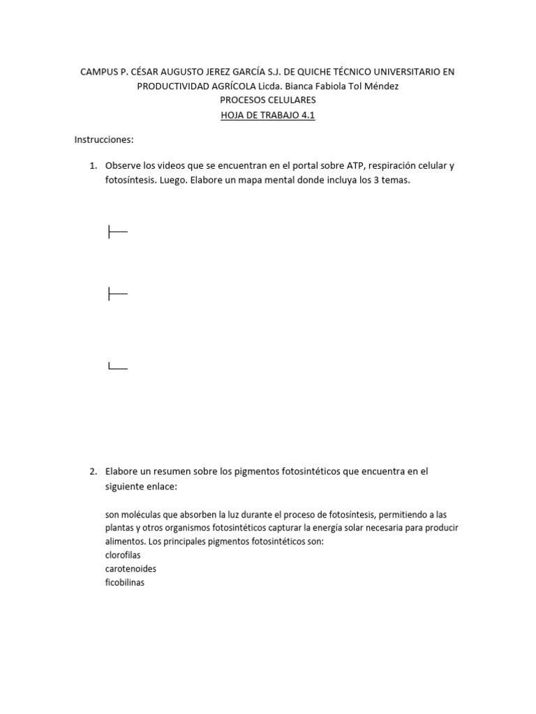 HOJA - DE - TRABAJO - 4.1 - PROCESOS - CELULARES - 1 (1) Tarea | PDF ...