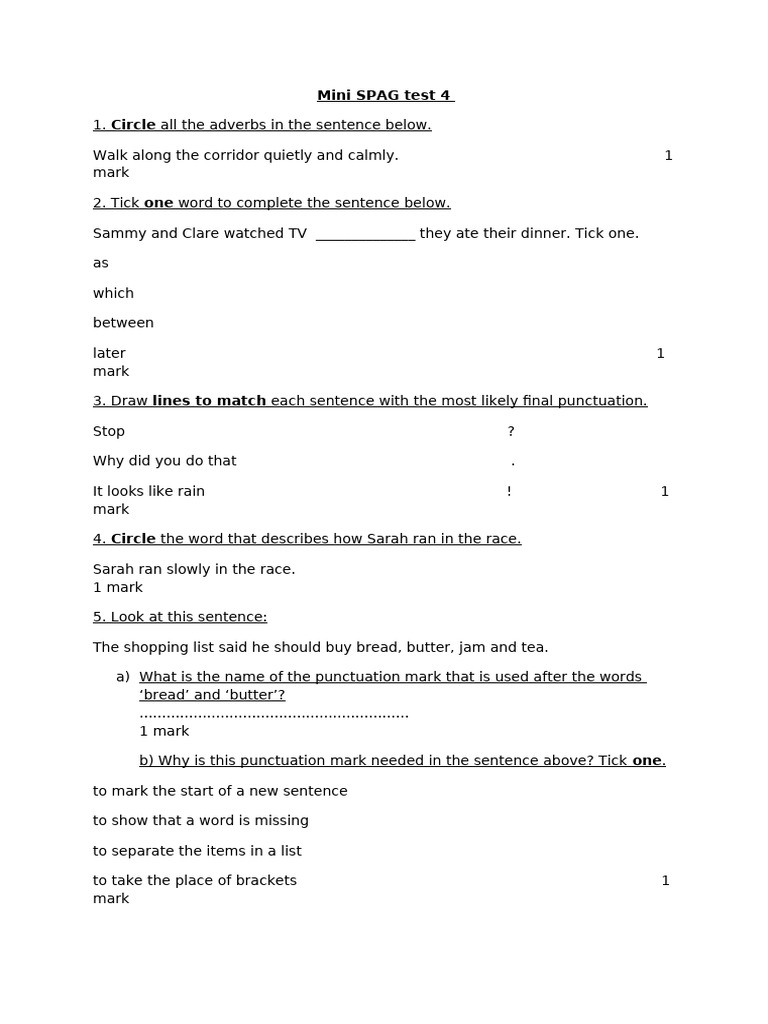 Mini Spag Test 4 | PDF