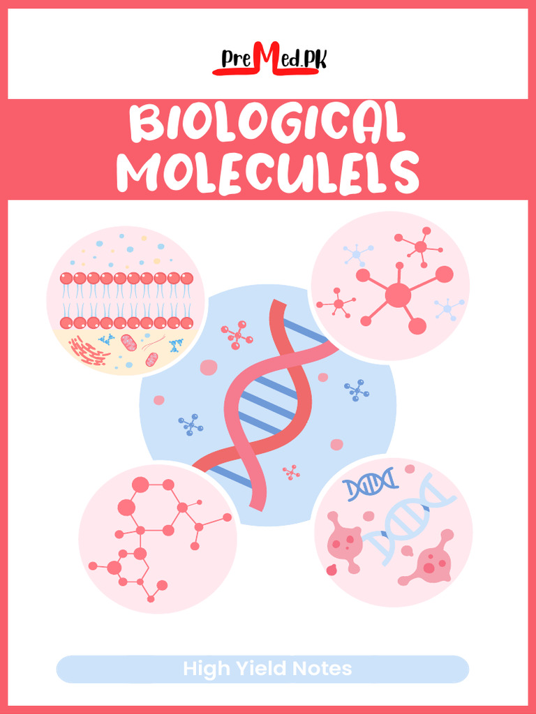 Biological Molecules Overview and Importance | PDF | Rna | Carbohydrates