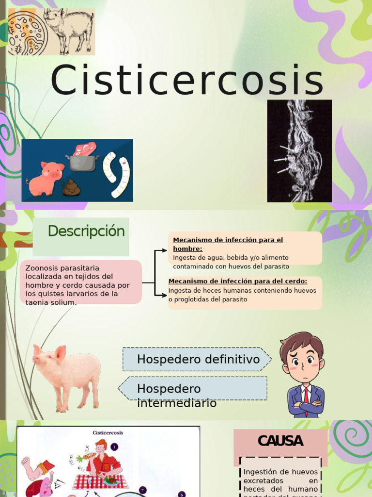 Cisticercosis | PDF | Enfermedades y trastornos | Especialidades Medicas