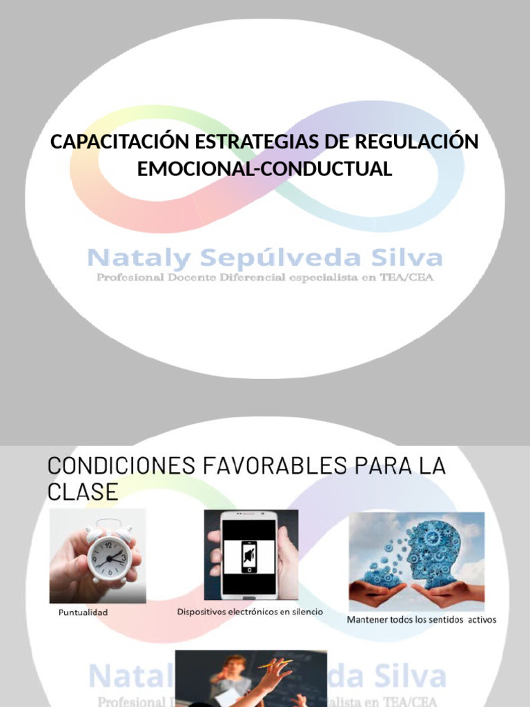 Presentación Antares | PDF