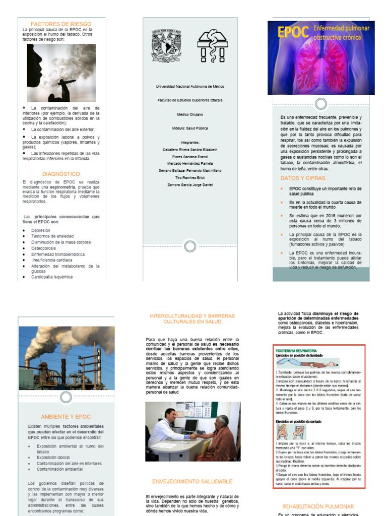 TRIPTICO_FINAL | PDF | Enfermedad pulmonar obstructiva crónica | Enfermedades y trastornos humanos