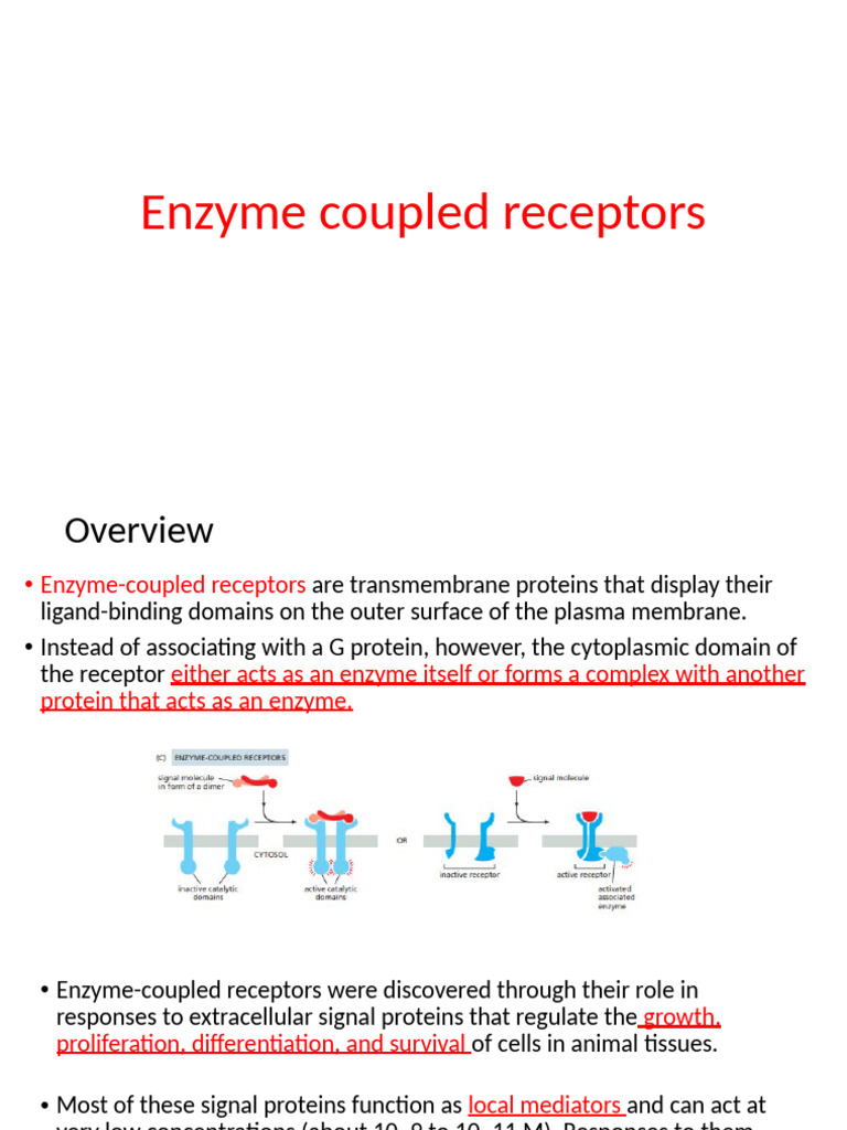 Enzyme Coupled Receptors | PDF | Cell Signaling | Kinase