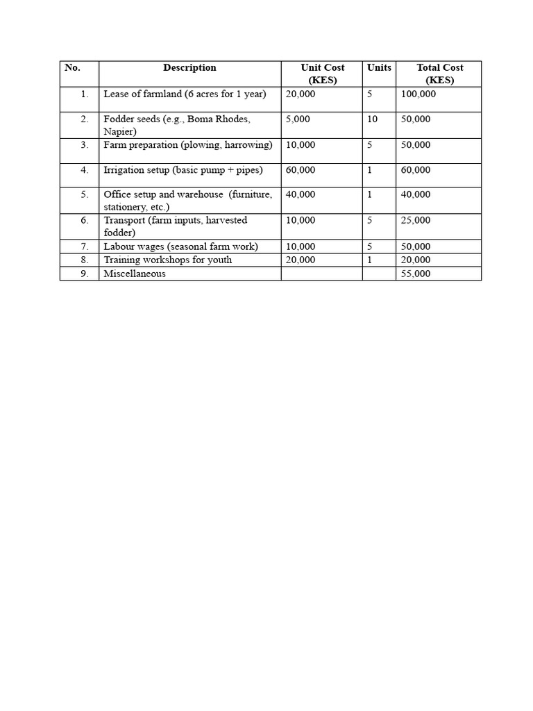 Budget Break Down | PDF