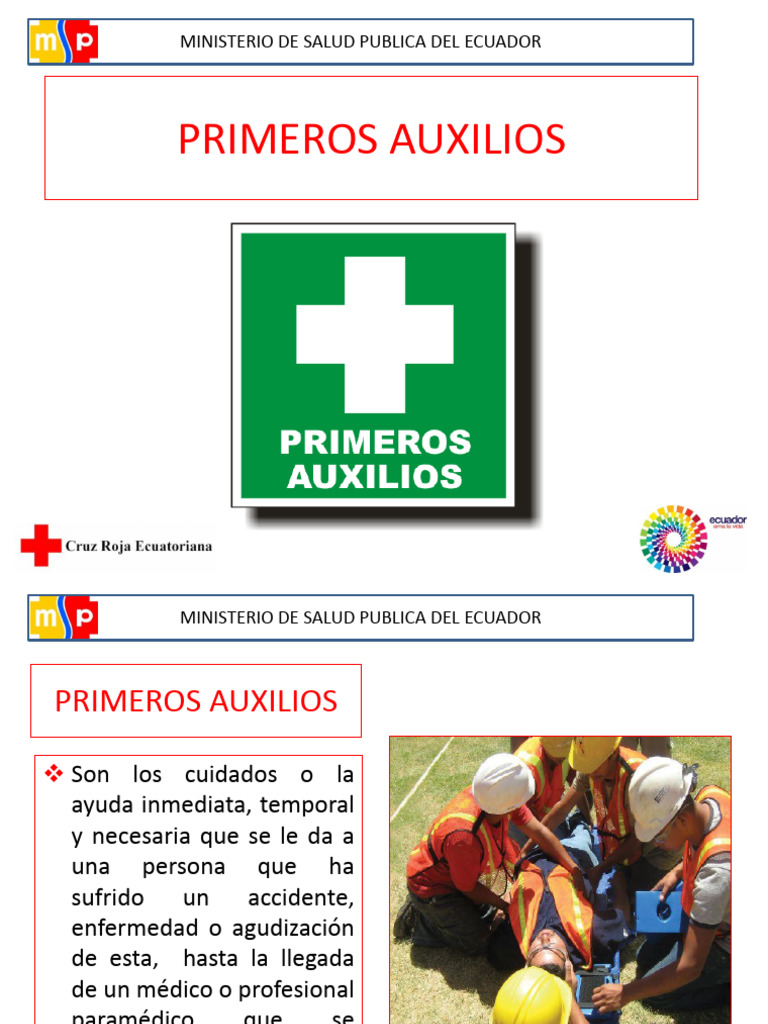 Primeros Auxilios | PDF | Presión sanguínea | Legumbres
