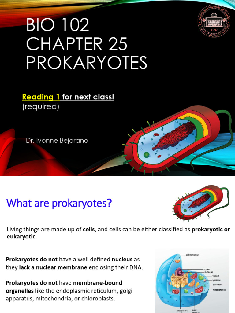 Understanding Prokaryotes: Key Concepts | PDF | Prokaryote | Bacteria