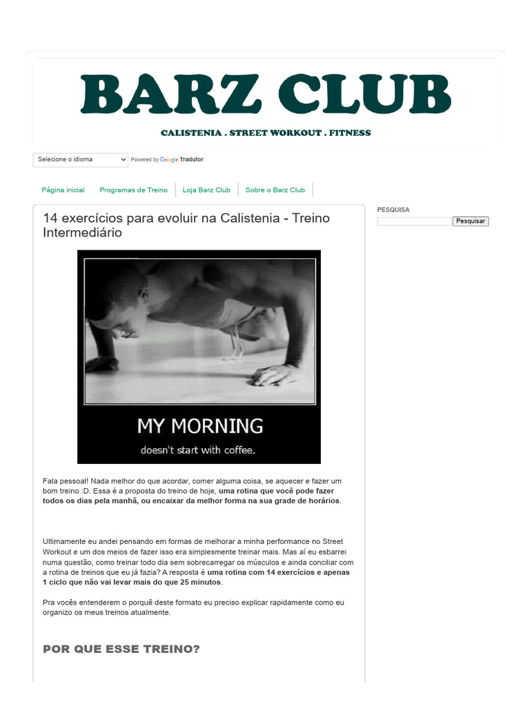 Barz Club Street Workout - 14 Exercícios para Evoluir Na Calistenia - Treino Intermediário | PDF