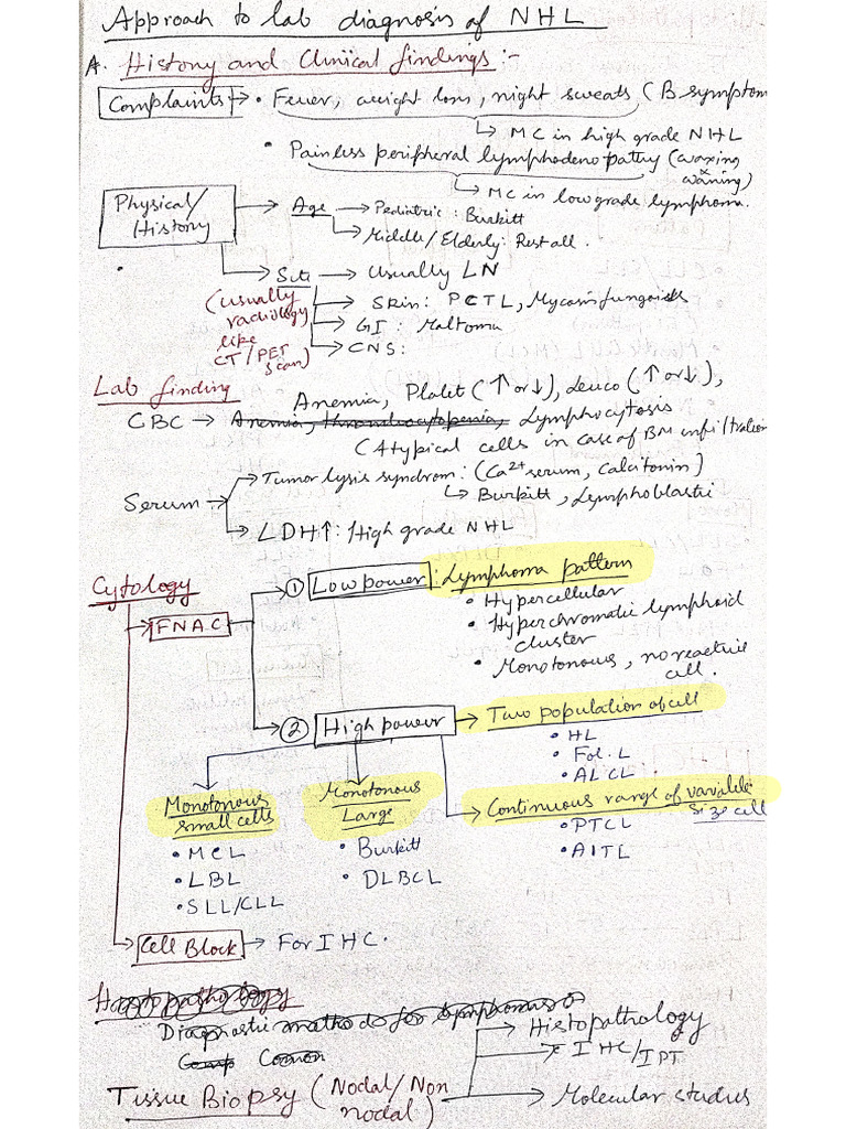 Lab Diagnosis of NHL | PDF