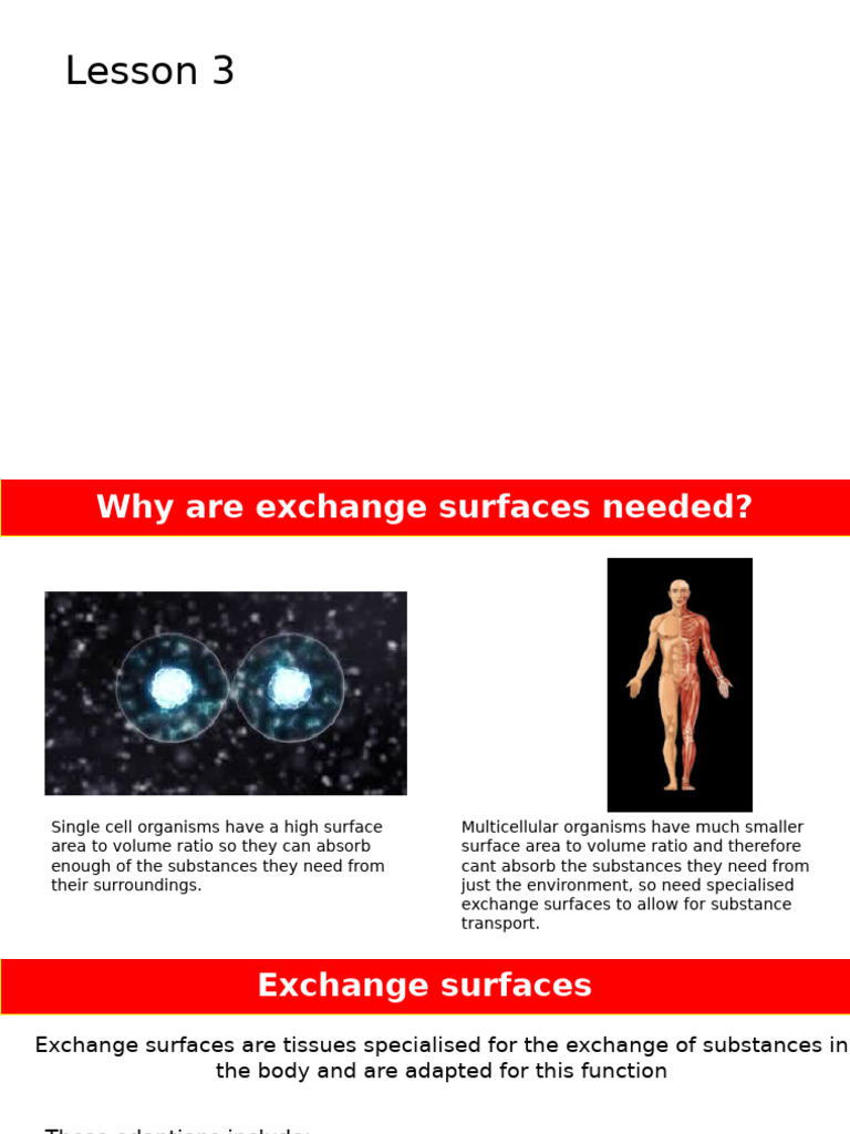 L3 9.11.20 Transport in Cells Exchange.215788176 | PDF | Biology | Anatomy