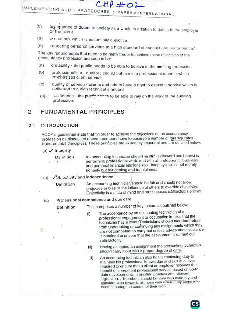 Auditing Notes | PDF