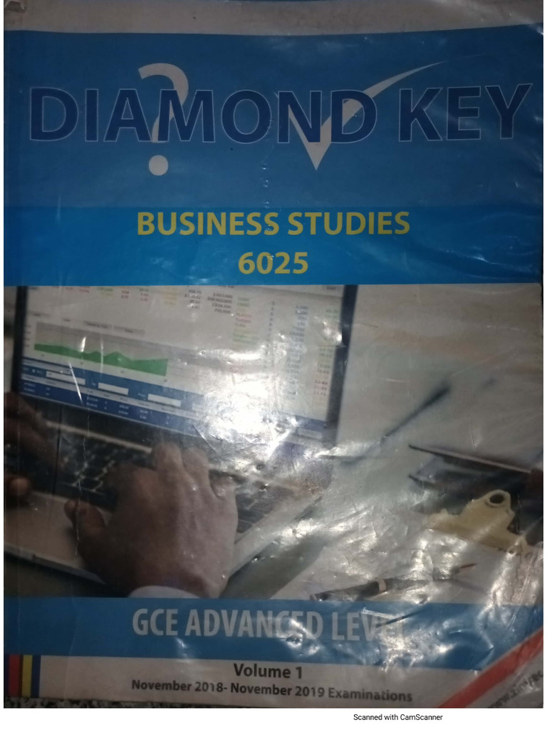 Diamond Key .Business Studies | PDF