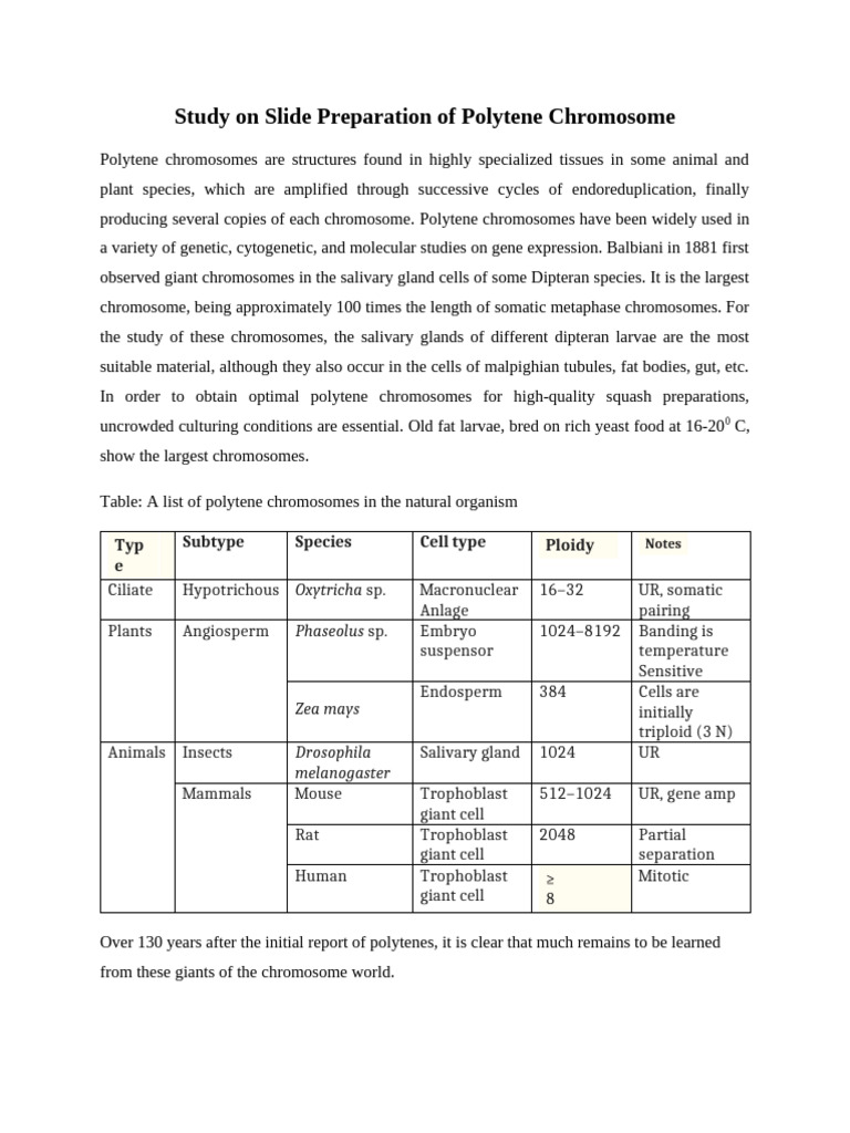 3rd Lec Polytene Chromosome | PDF | Biology