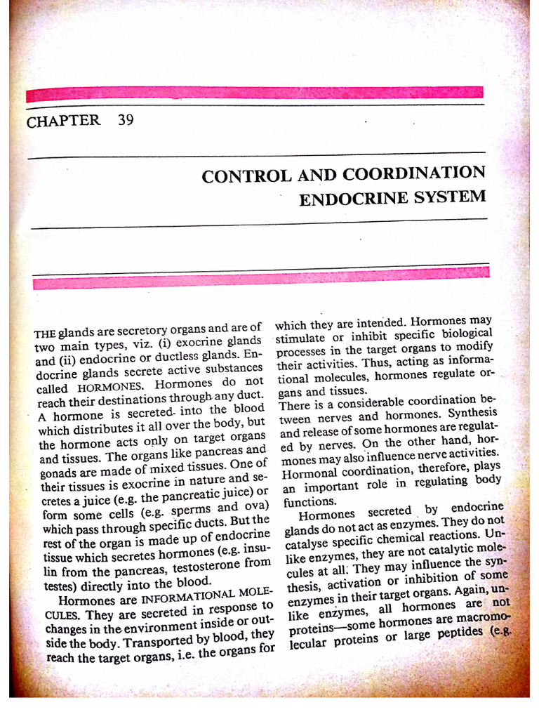 Control and Coordination Endocrine System and Animal Reproduction | PDF