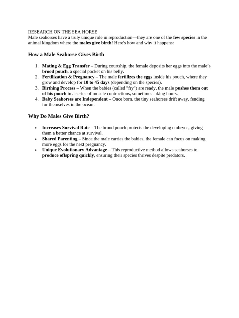 Research On The Sea Horse | PDF