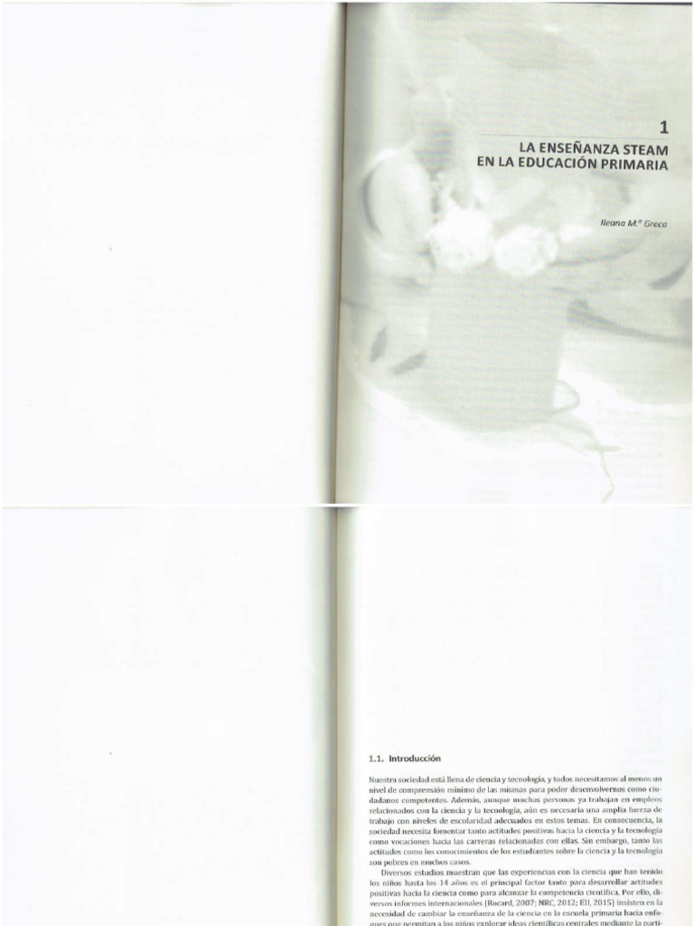 STEAM Cap.1 | PDF