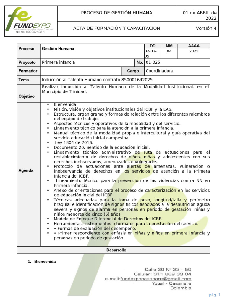 Induccion Eih - Final Lorena | PDF | Educación de la primera infancia | Derechos de los niños