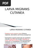 Miasis Cutánea: Diagnóstico y Tratamiento | PDF | Especialidades ...