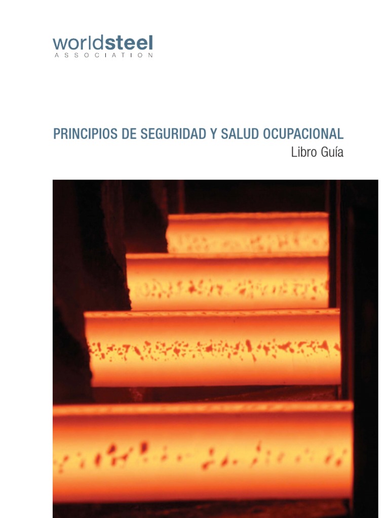Safety and Health Spanish | PDF