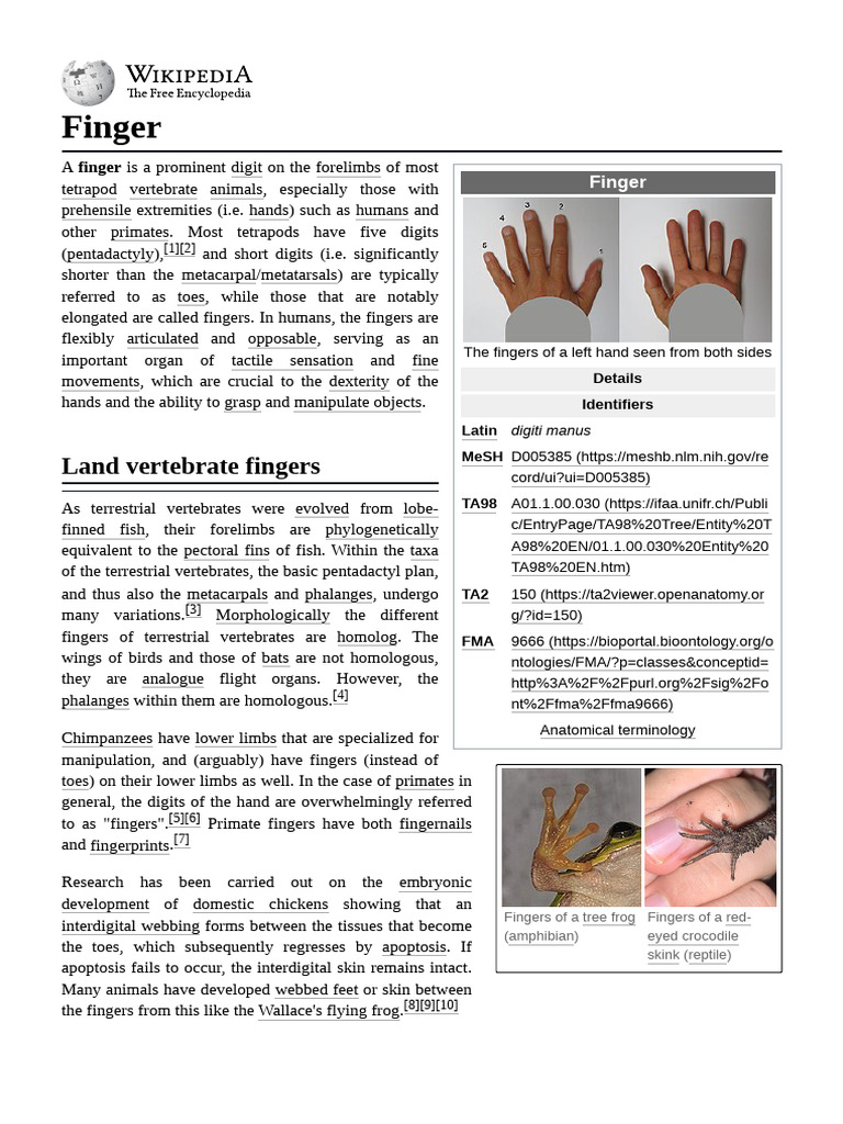 Finger 12345 | PDF | Finger | Thumb