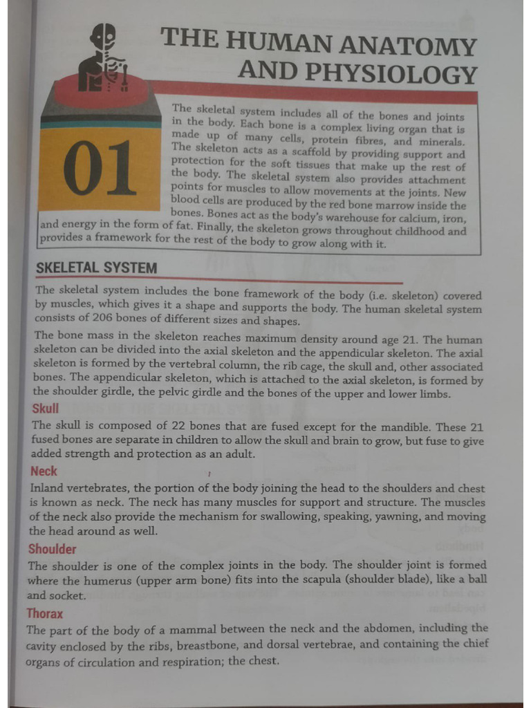 The Human Anatomy and Physiology PT Notes | PDF