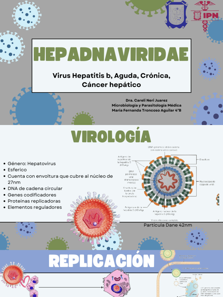 Virus de Hepatitis B: Replicación y Patología | PDF | Hepatitis ...