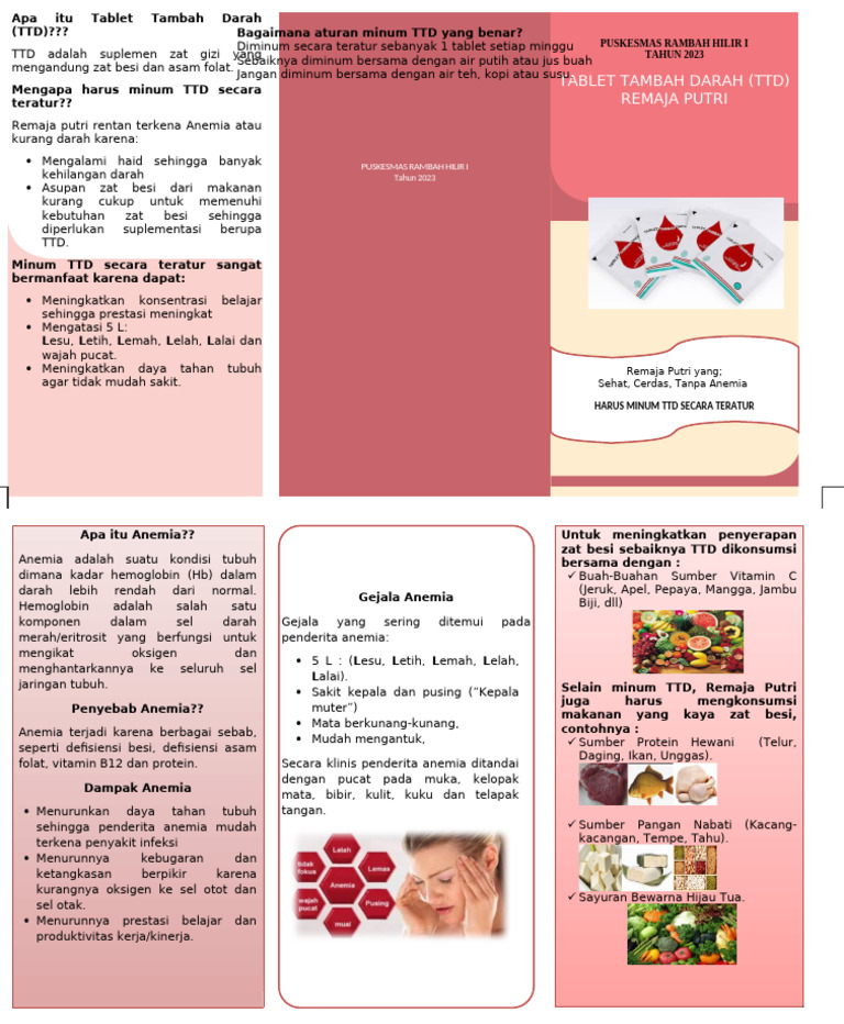 Pentingnya TTD untuk Remaja Putri | PDF