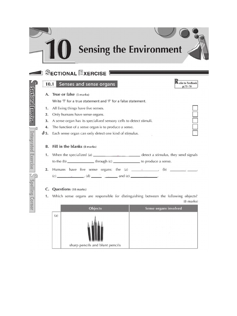 Science f2 Bio | PDF